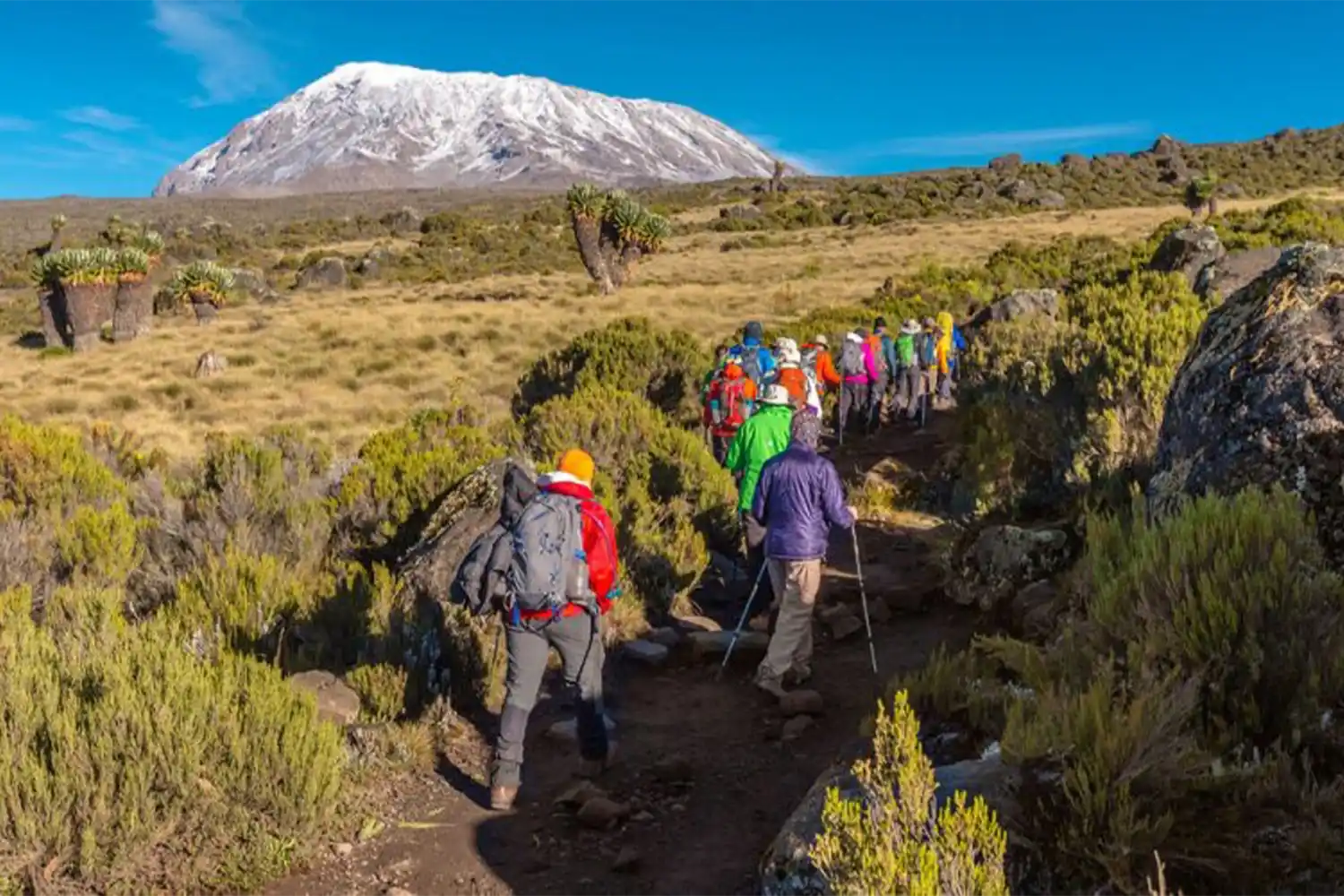 Mount Kilimanjaro climb group joining 2026 & 2026